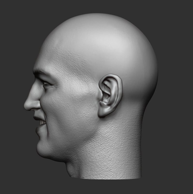 Elvis Presley Sixth scale bald head 3D printable model 3D model 3D ...