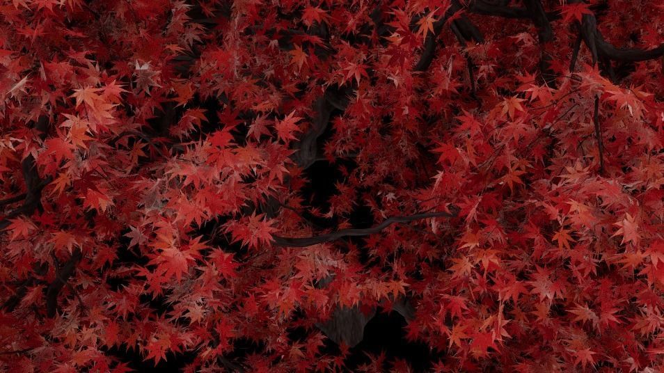 3D model japanese maple VR / AR / low-poly | CGTrader