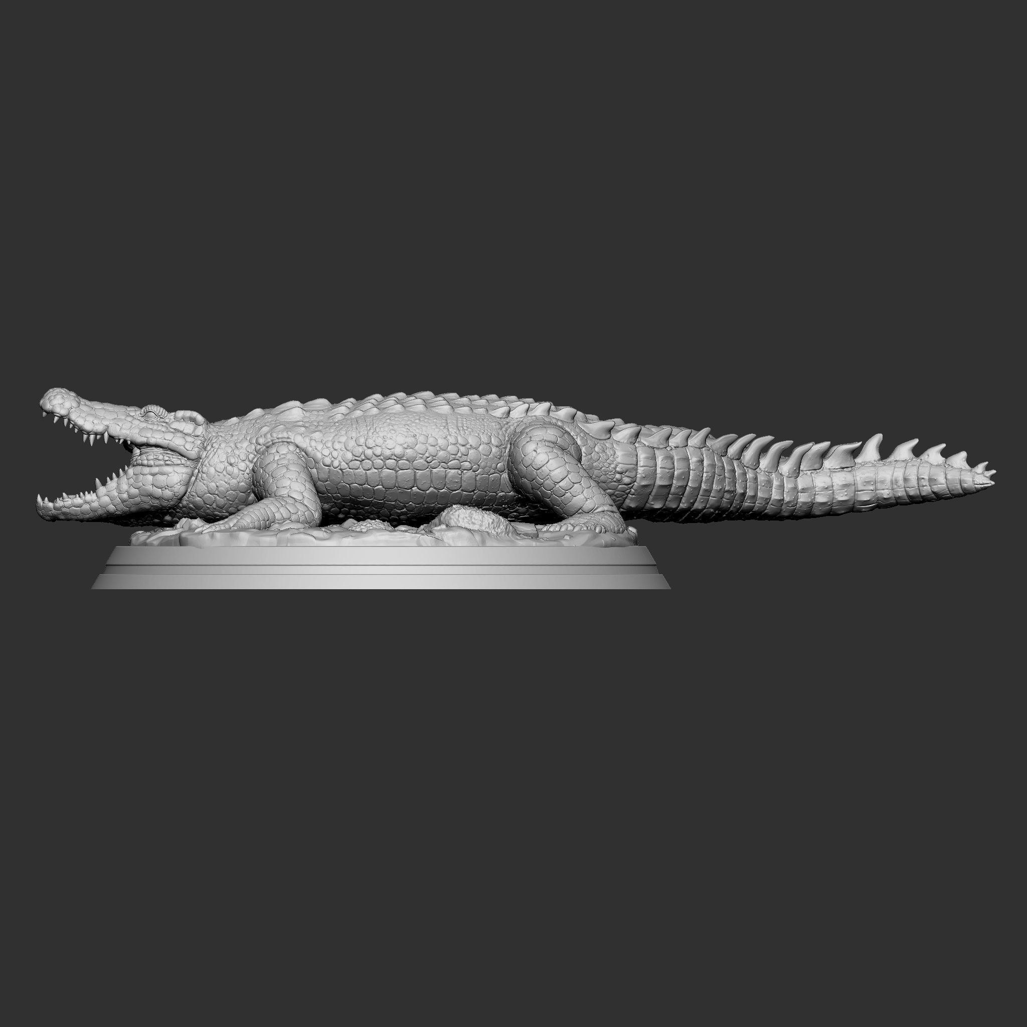CROCODILE 3D model 3D printable | CGTrader