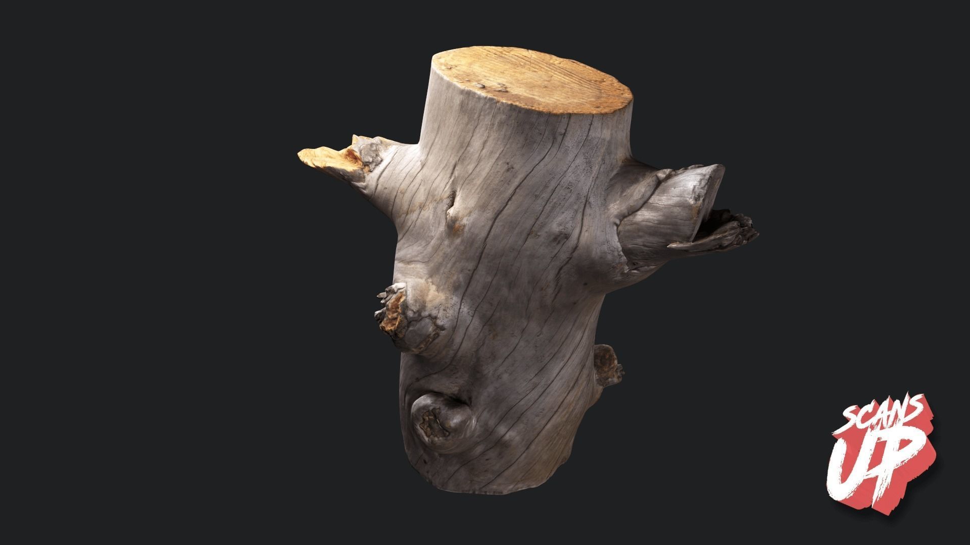 3D model Silver Logs Pack 01- Stonelake3D VR / AR / low-poly | CGTrader