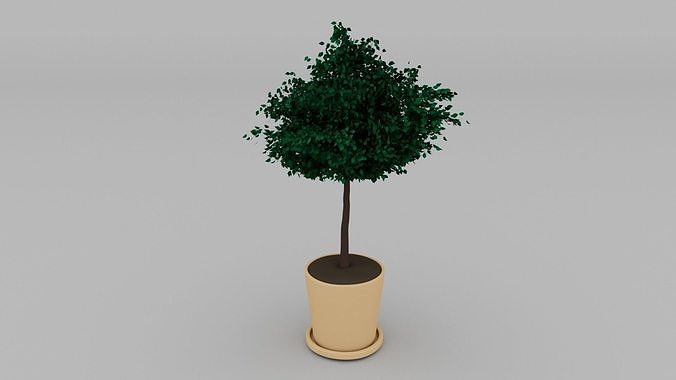 Tree Pot 3D model | CGTrader