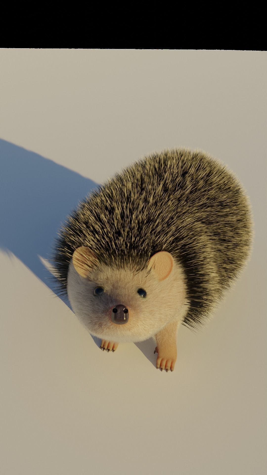 A cute spiny Hedgehog 3D model animated rigged | CGTrader