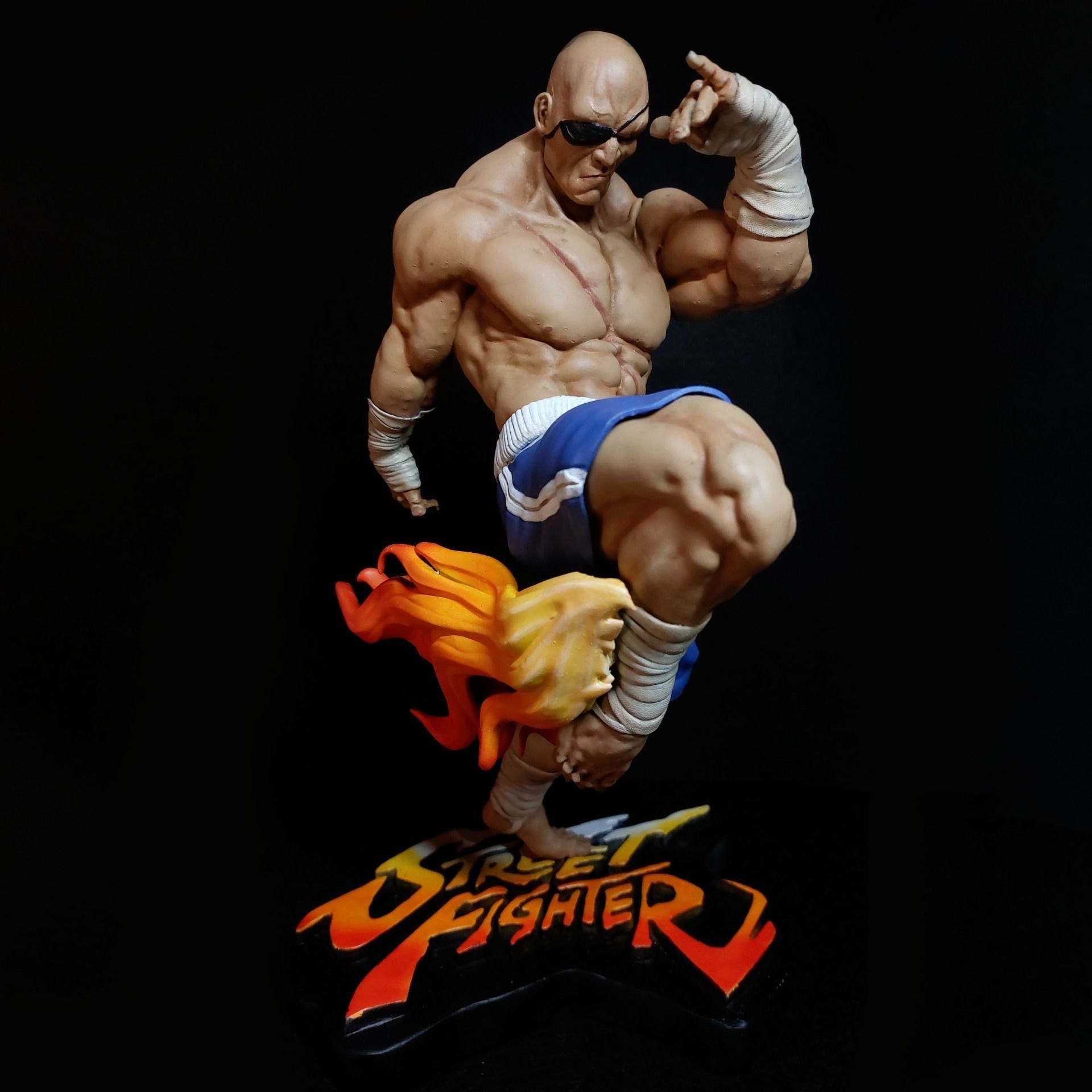 SAGAT 3DPRINTABLE FANART 1-6 SCALE 3D model 3D printable | CGTrader
