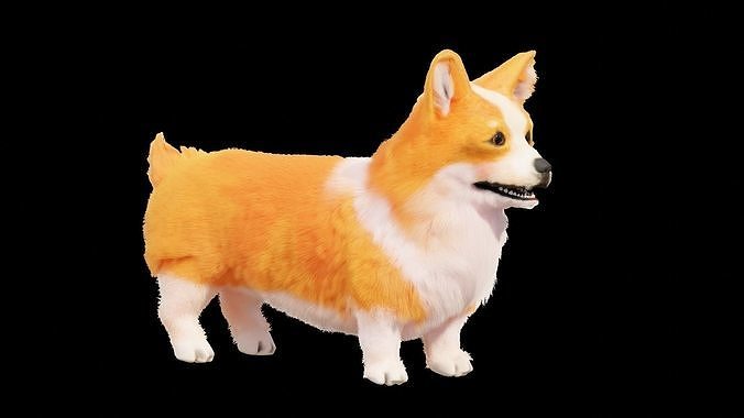 Corgi Dog 3D model rigged | CGTrader