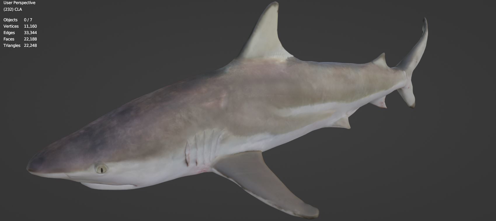 shark free 3D model | CGTrader