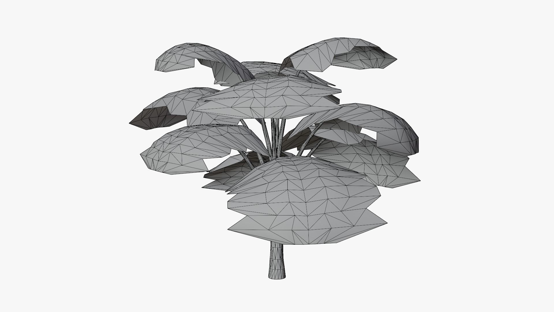 3D model Monstera Tropical Plant VR / AR / low-poly | CGTrader