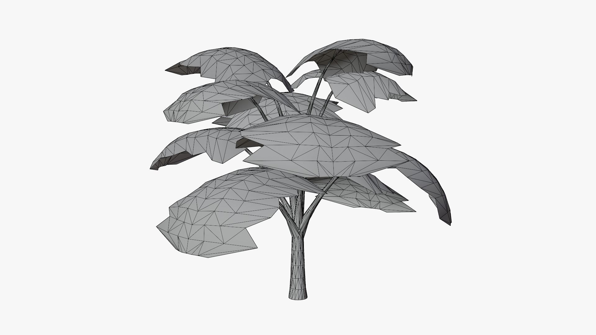 3D model Monstera Tropical Plant VR / AR / low-poly | CGTrader