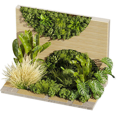 Collection plant vol 462 - fitowall - palm - grass - ertical 3D model | CGTrader