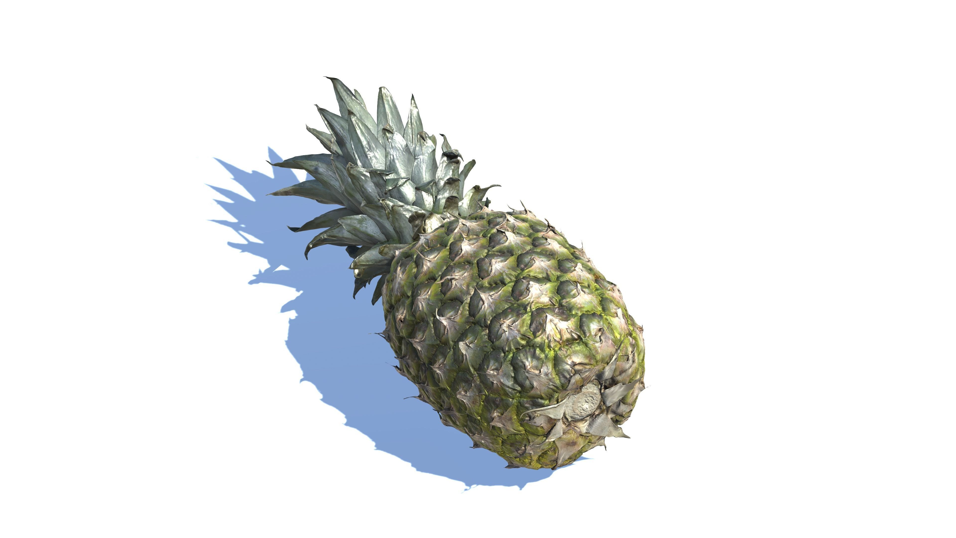 Pineapple photogrammetry scan 3D model | CGTrader