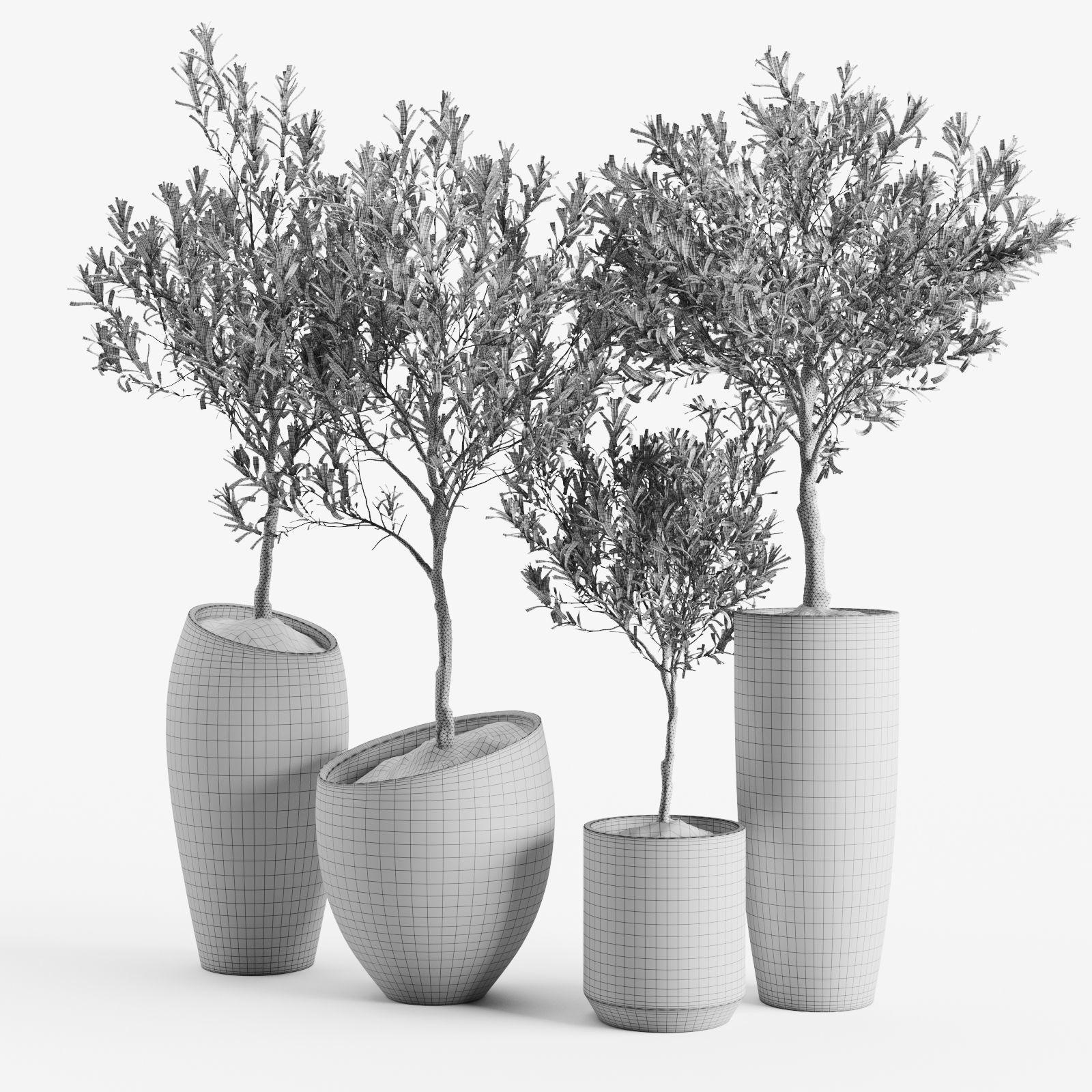 Olive European Potted Eco Stone Hitohana 3D model | CGTrader