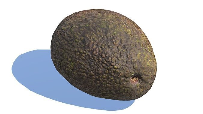 3D model Avocado photogrammetry scan VR / AR / low-poly | CGTrader