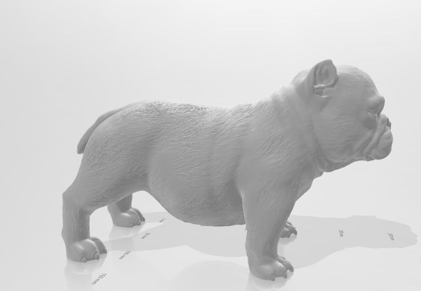 perro exotic bully cachorro 3D model 3D printable | CGTrader