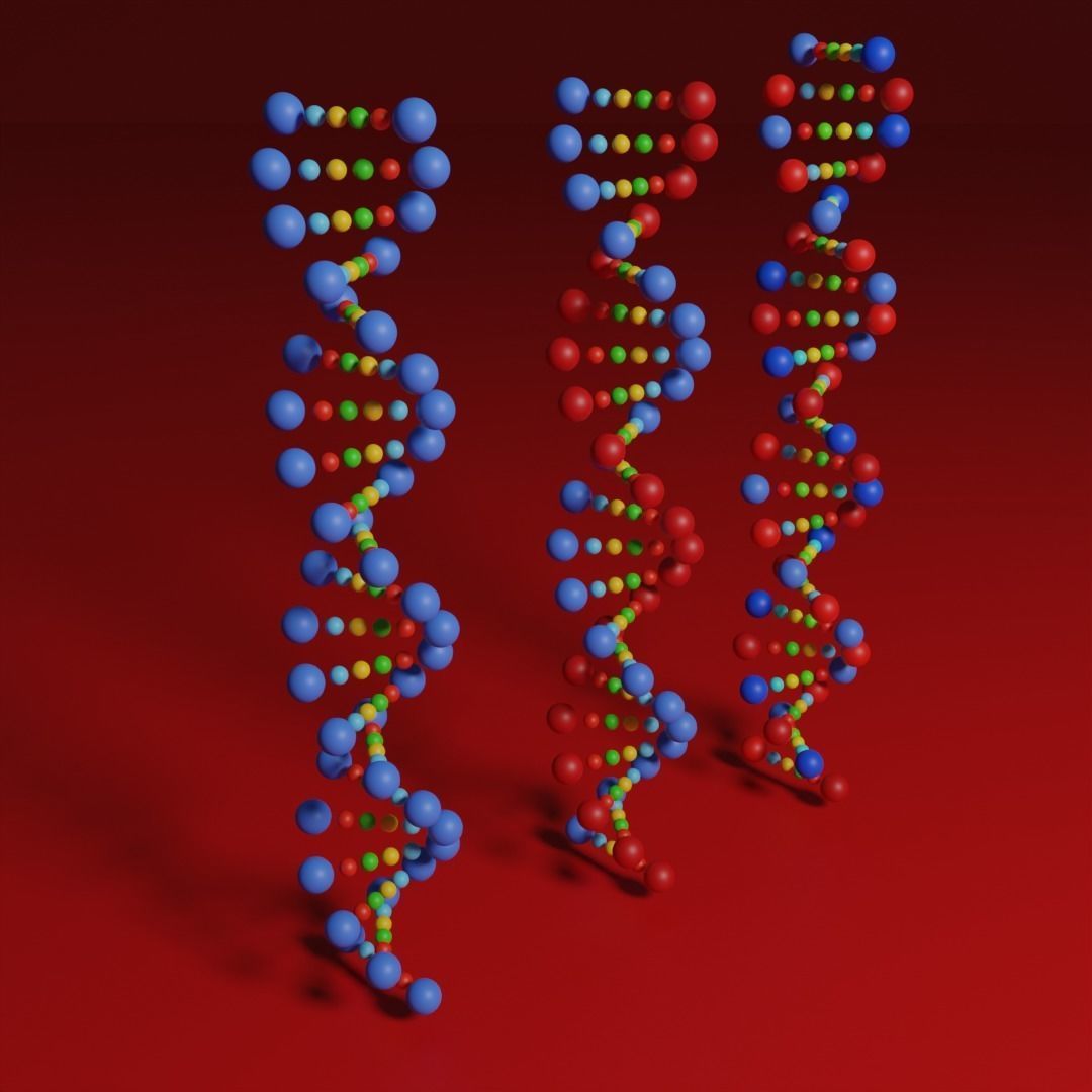 DNA model three strands 3D model | CGTrader