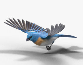 Bird 3D Models | CGTrader