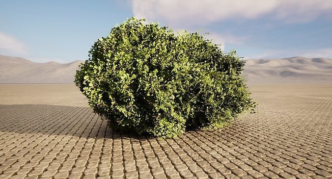 3D model Realistic Bush tree in middle of desert VR / AR / low-poly ...