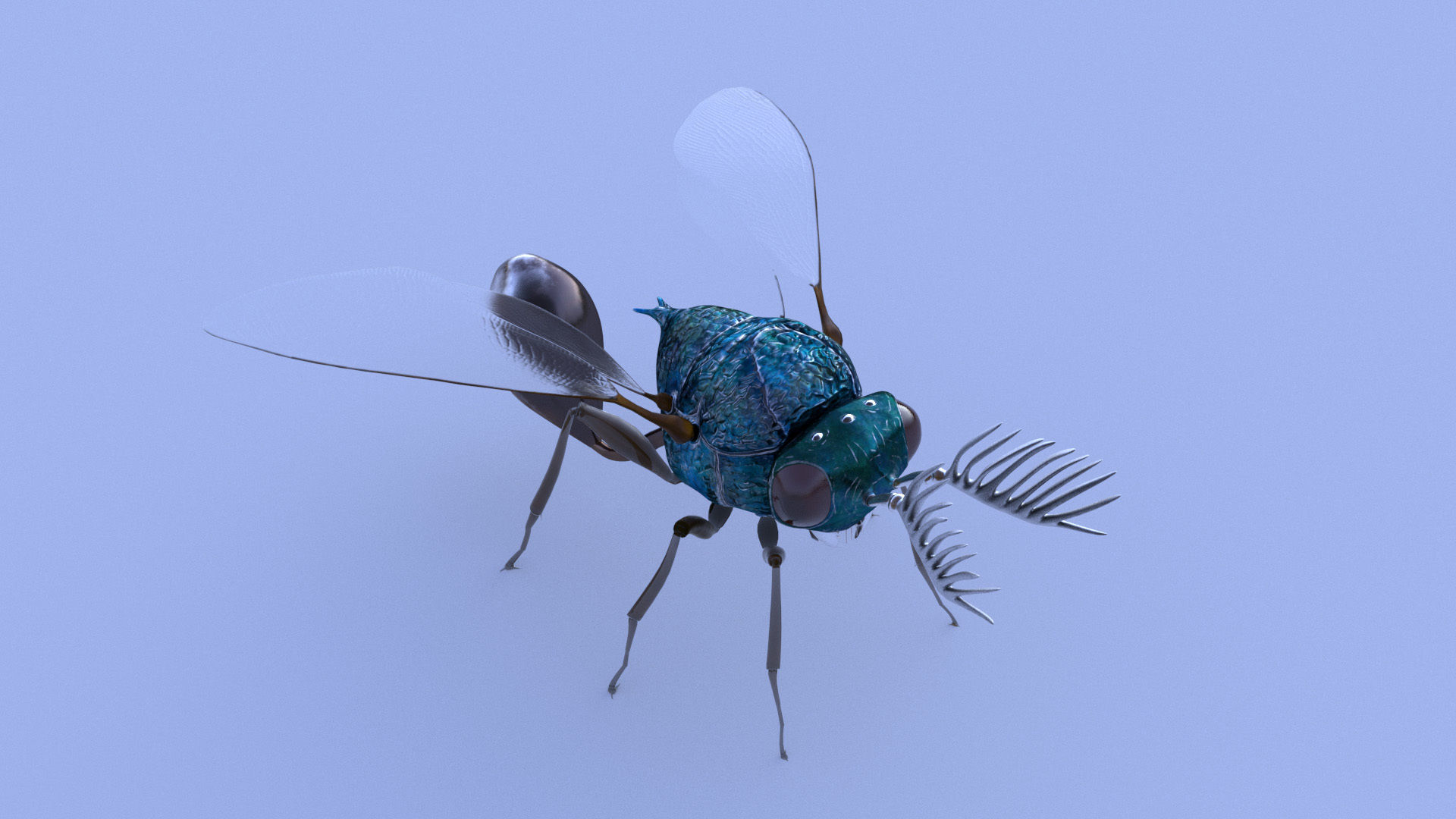 Eucharitidae 3d model rigged Apocrita 3D model rigged | CGTrader