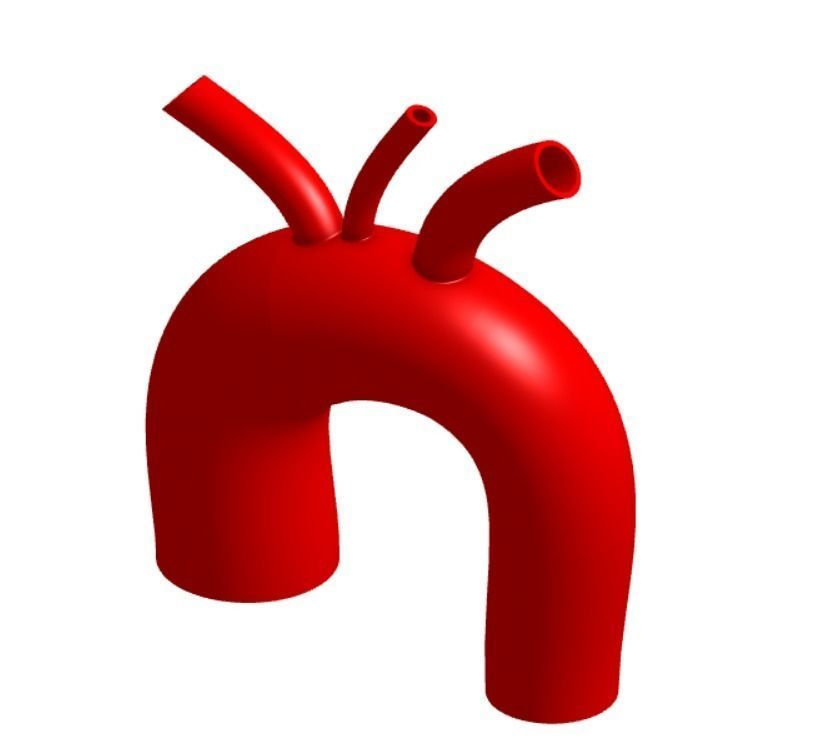 3D model of Aortic Arch Real Dimensions 3D model 3D printable | CGTrader