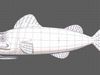 3D model Fish V10 VR / AR / low-poly | CGTrader