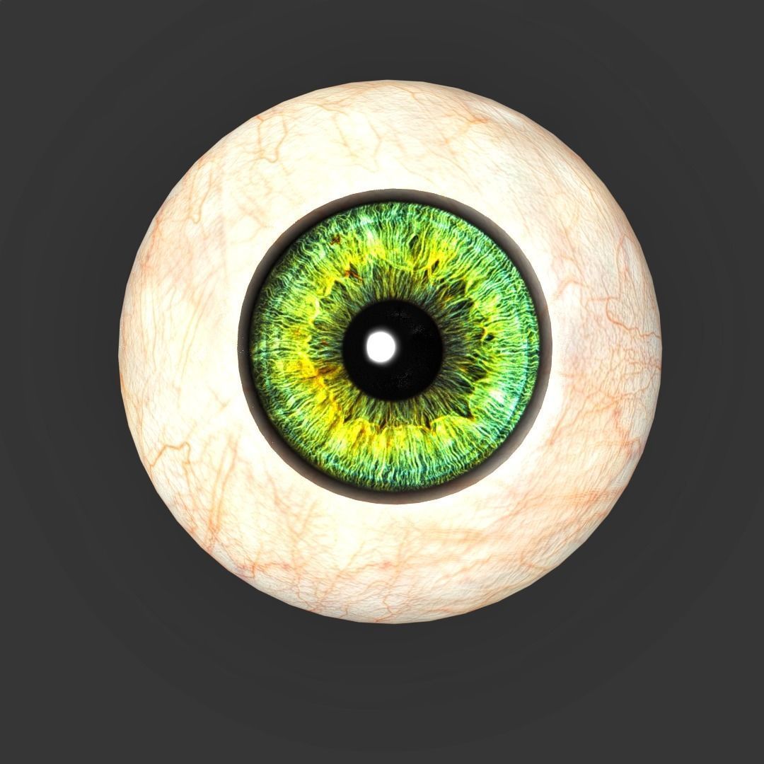 3D model EYE - HUMAN EYE VR / AR / low-poly | CGTrader