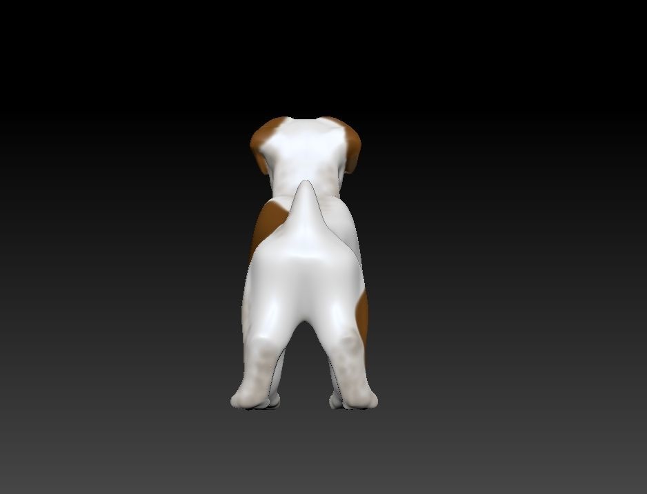 3D model Jack Russell dog VR / AR / low-poly | CGTrader