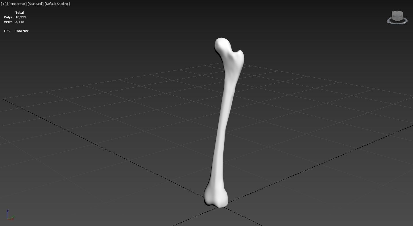 The Femur body Anatomy 3D model | CGTrader