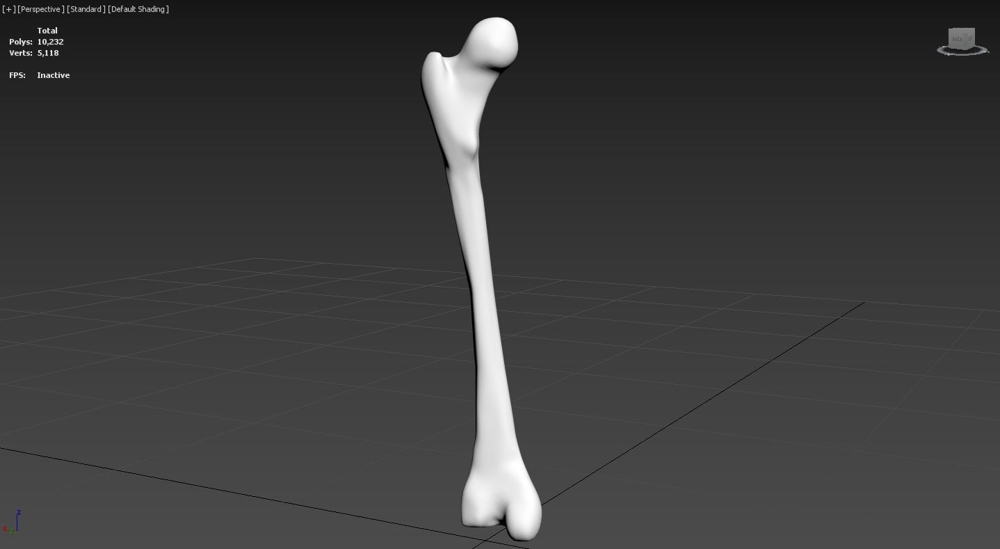 The Femur body Anatomy 3D model | CGTrader