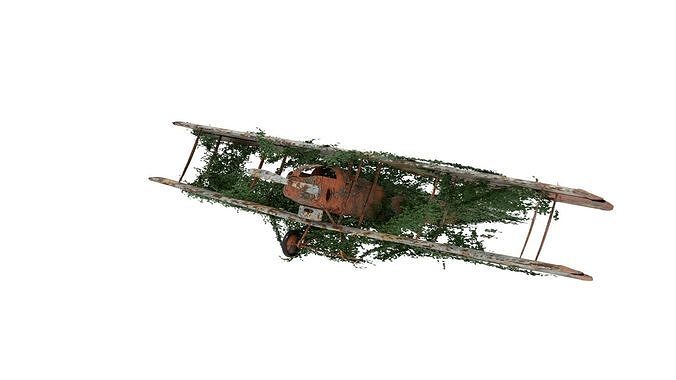 Damaged Rusted Aircraft 3D model | CGTrader