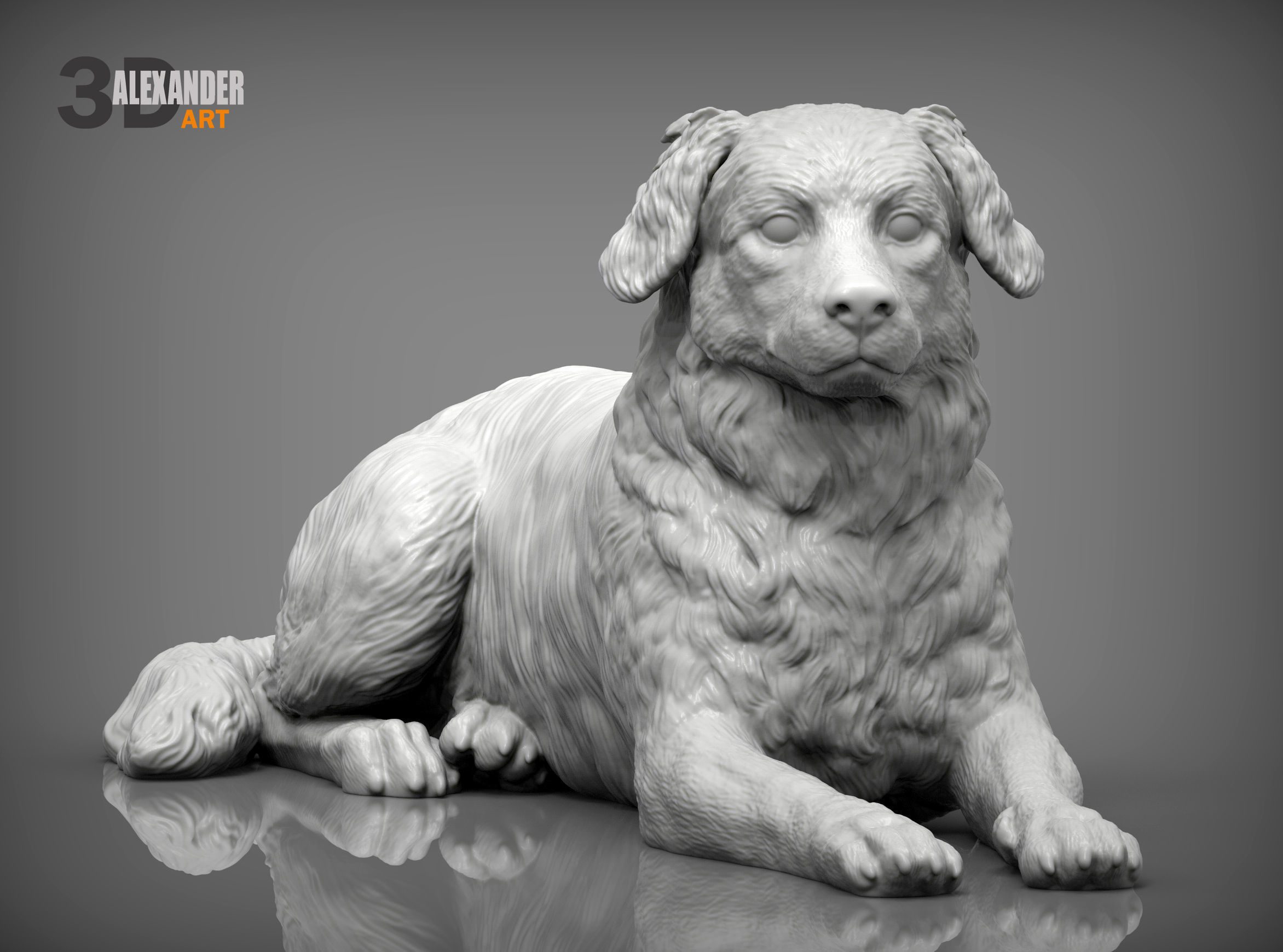Australian shepherd 3D model 3D printable | CGTrader