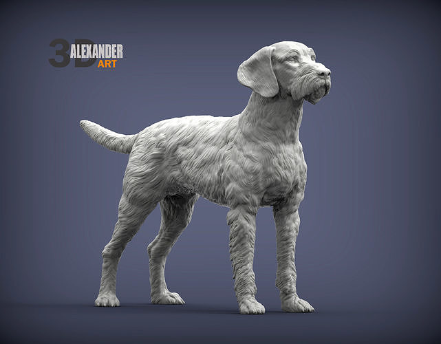 German wirehaired pointers 3D model 3D printable | CGTrader