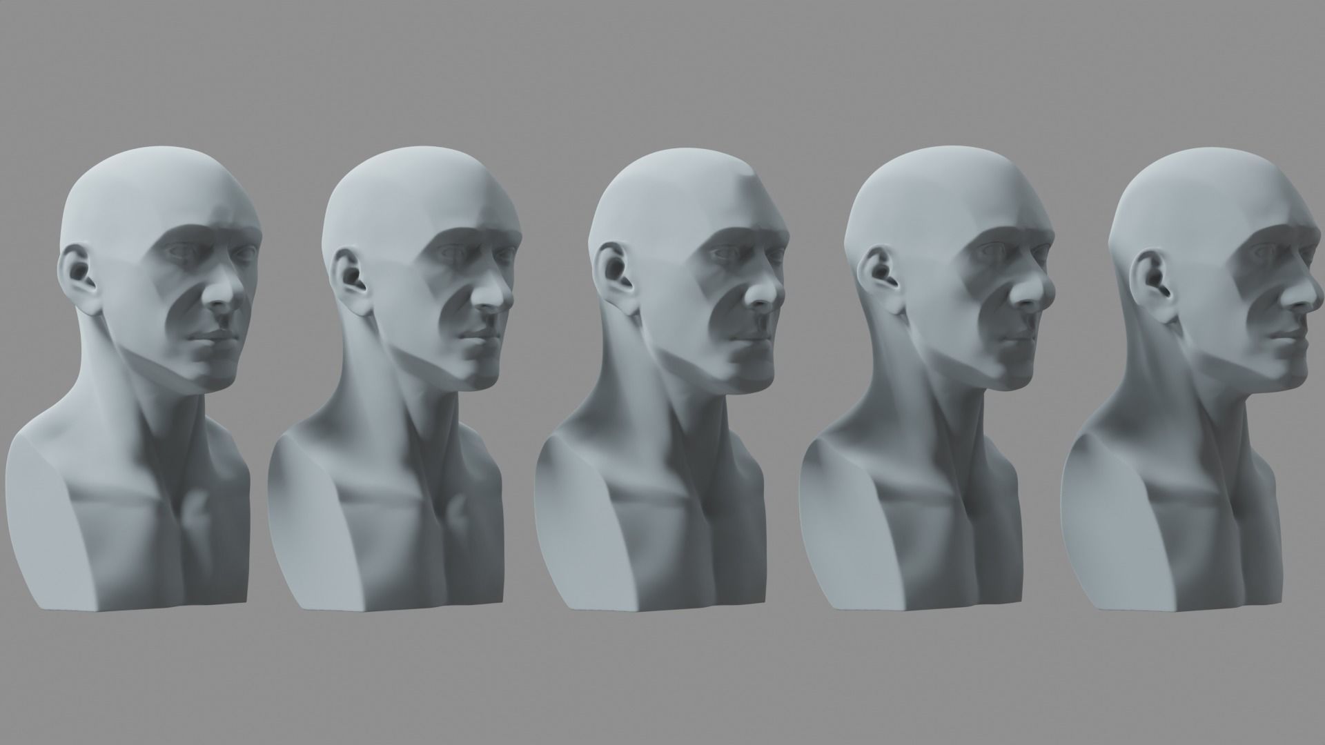 Stylized Head Ecorche 3D model | CGTrader