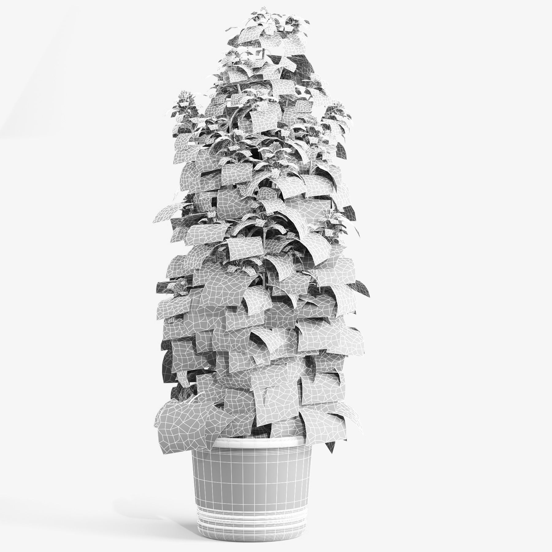 outdoor indoor plant009 Cannabis sativa marijuana 3D model | CGTrader