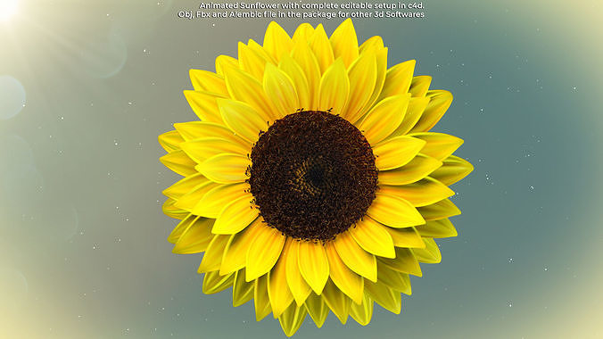 3d Sunflower Animated 3D model animated rigged | CGTrader