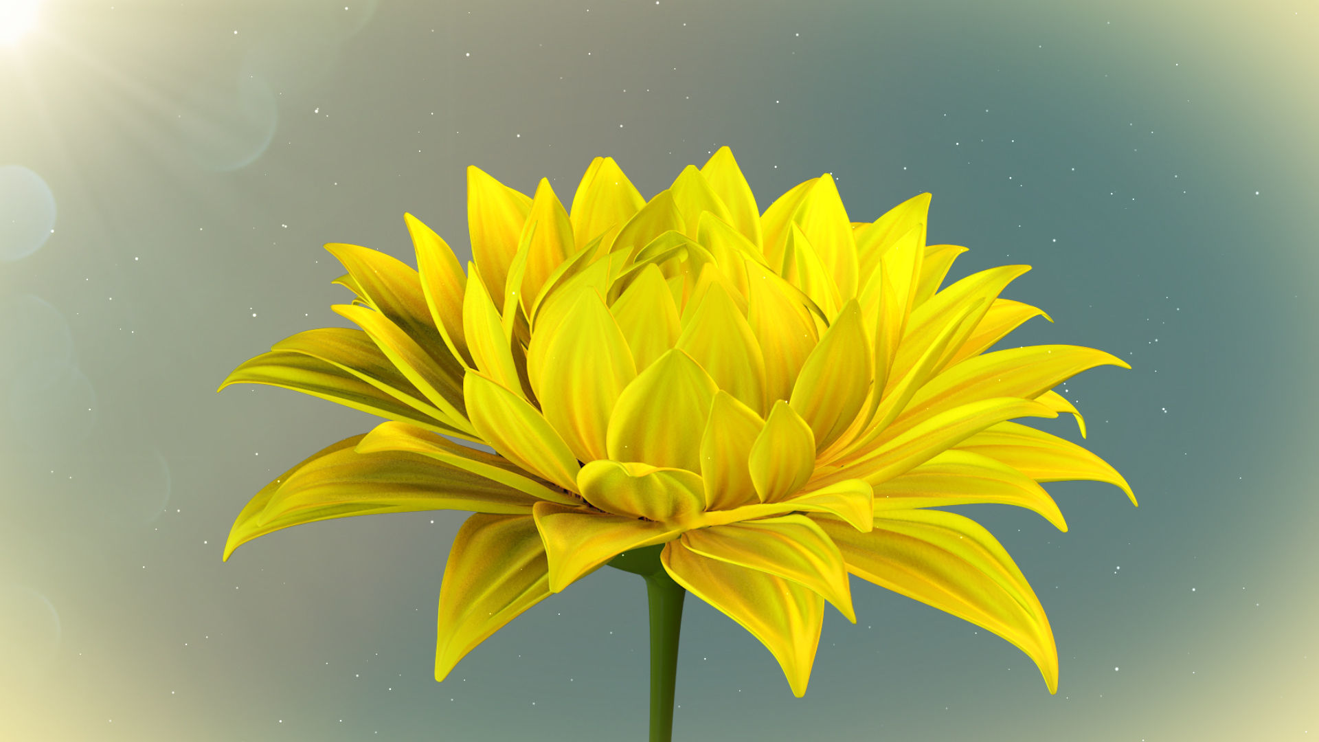 3d Sunflower Animated 3D model animated rigged | CGTrader