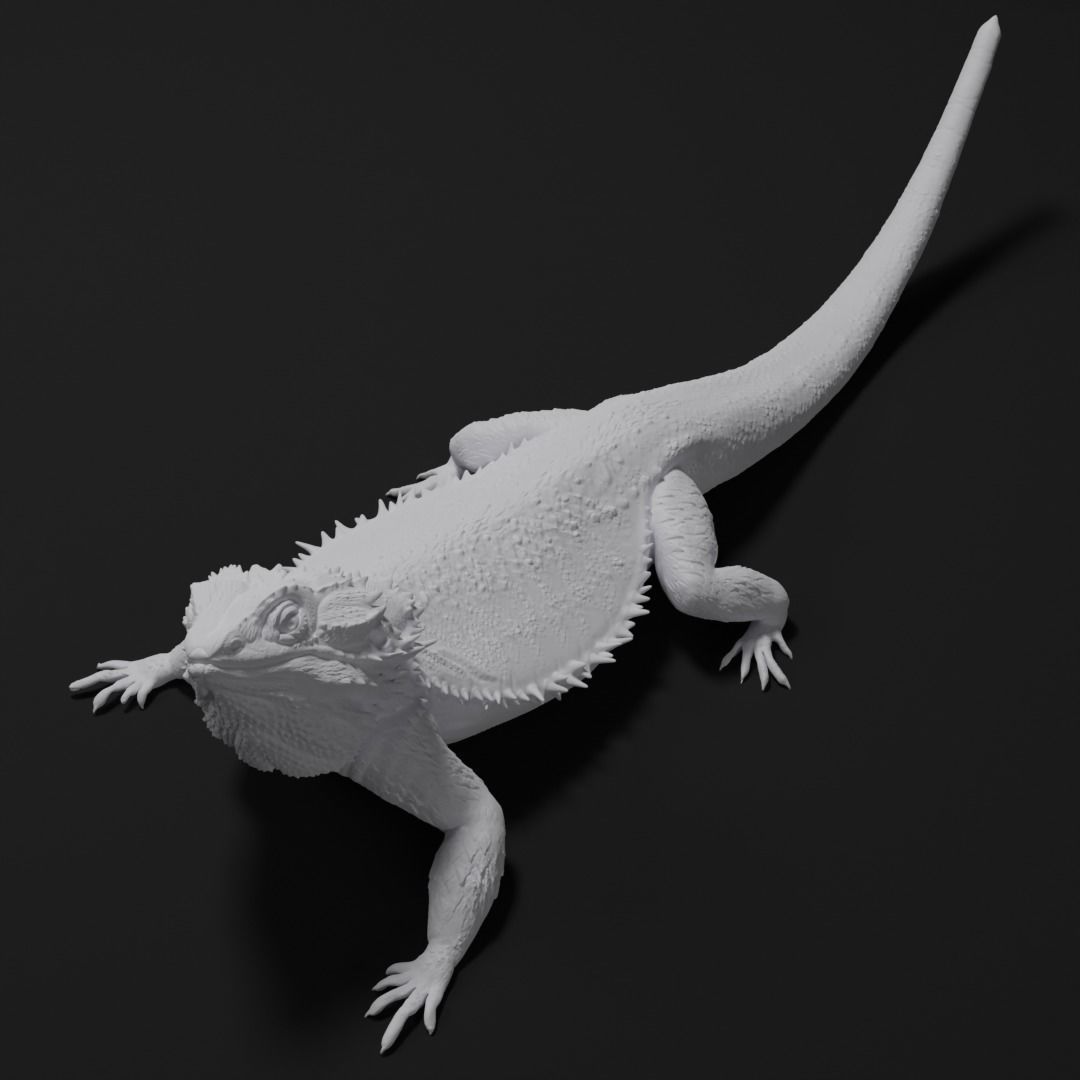 Bearded Dragon Realistic Lizard 3d print model 3D model 3D printable ...