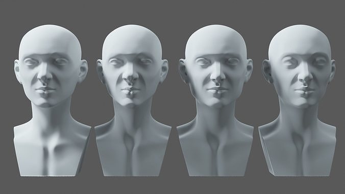 Head Ecorche 3D model | CGTrader