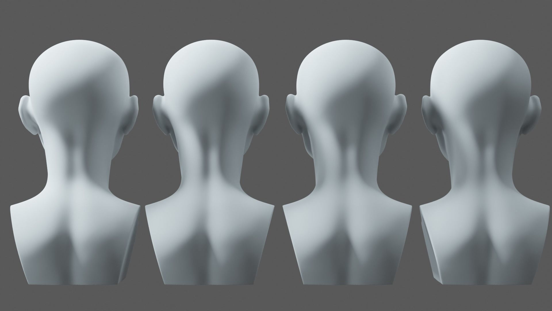 Head Ecorche 3D model | CGTrader