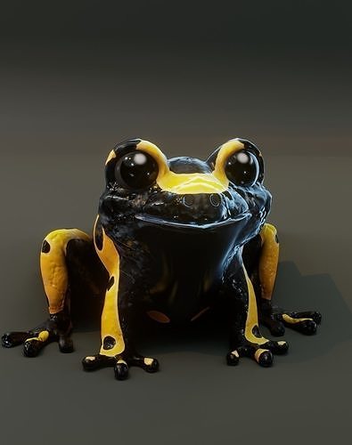 3D model Cartoon Yellow-banded Frog Facial Expressions and 12 Animations VR / AR / low-poly ...