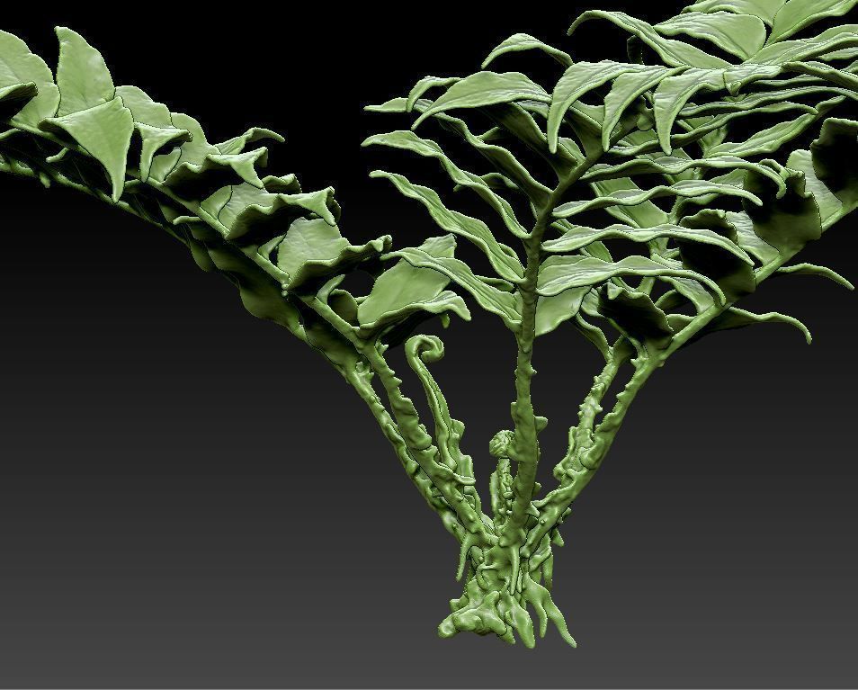 Aquatic plants 3D model 3D printable | CGTrader