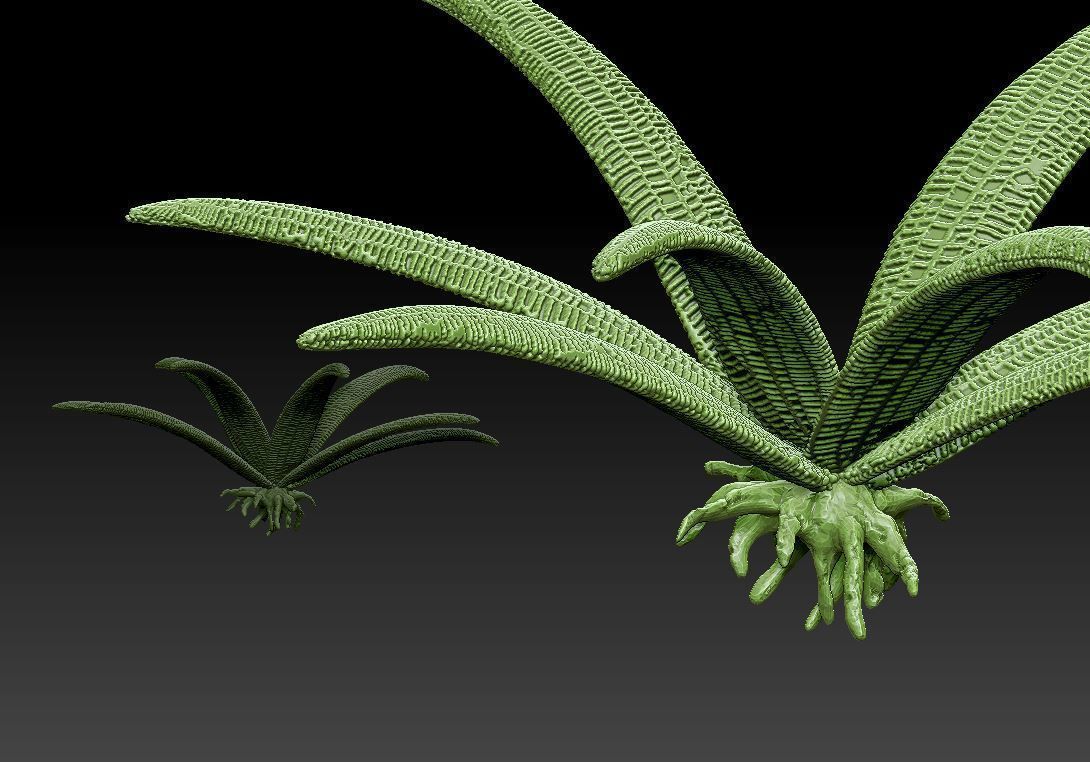 Aquatic plants 3D model 3D printable | CGTrader