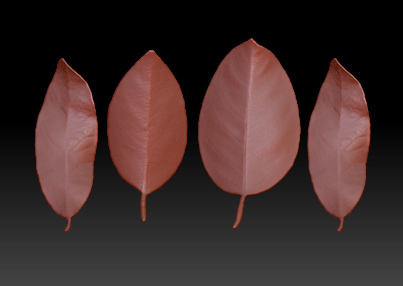 leaves Autumn leaves Leaf sculpture ZBrush Leaf Brush 3D model 3D ...
