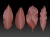 Autumn leaves Leaf sculpture ZBrush Leaf Brush realistic 3D model 3D ...