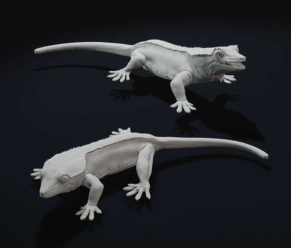 Crested Gecko Lizard Pet 3D Print Model 3D model 3D printable | CGTrader