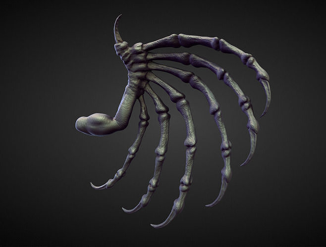 WING4 high poly sculpt 3D model | CGTrader