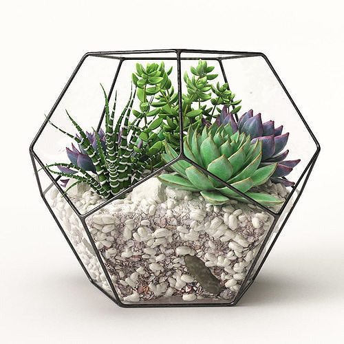 Florarium Florarium terrarium planter 3D model | CGTrader