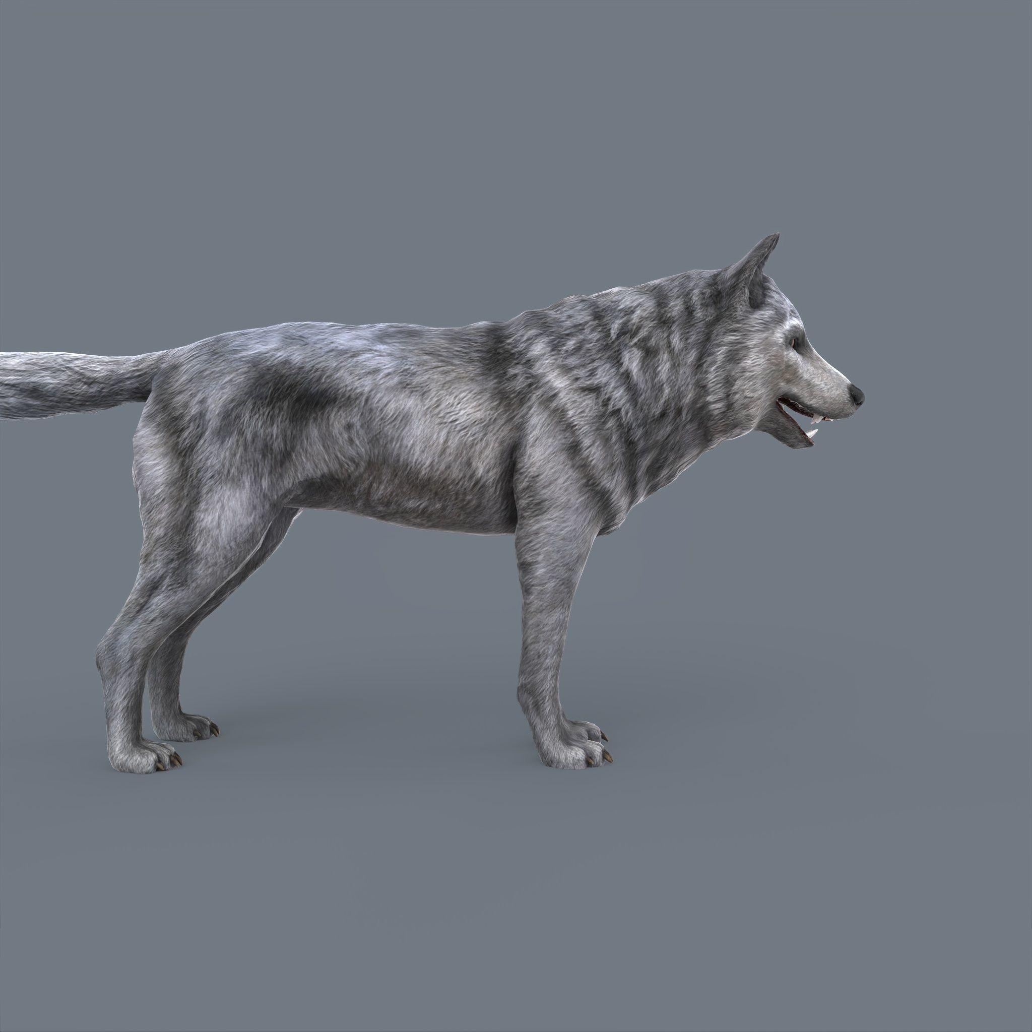 3D model Wolf Low Poly VR / AR / low-poly | CGTrader