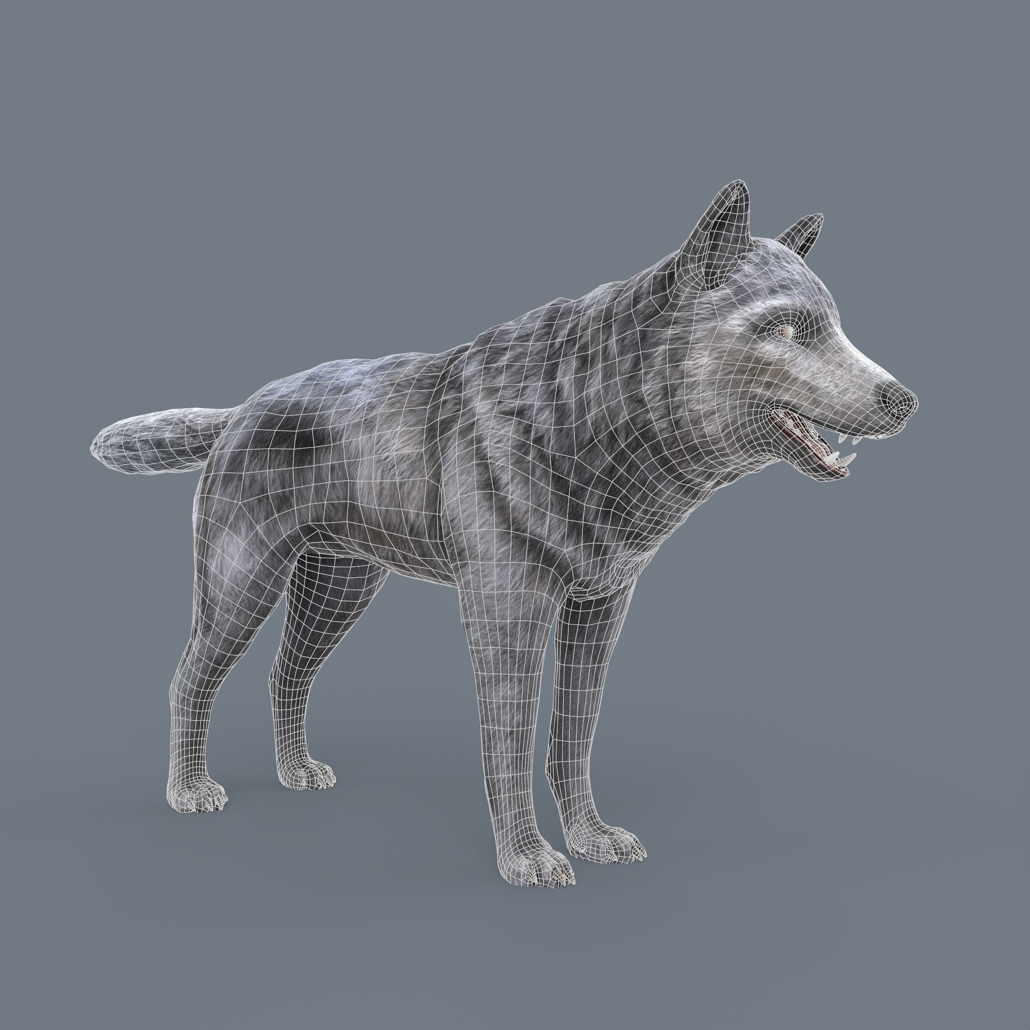 3D model Wolf Low Poly VR / AR / low-poly | CGTrader