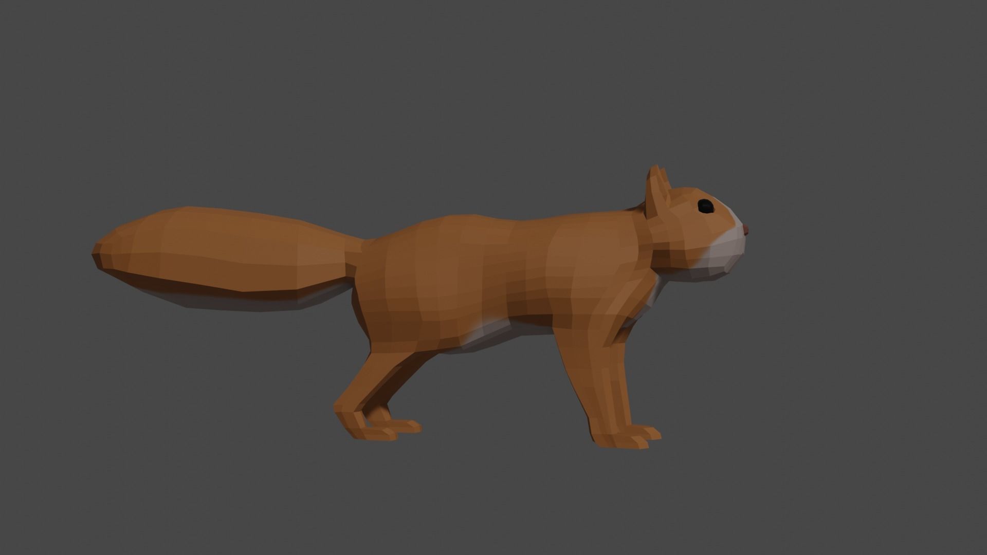 3D model LowPoly Squirrel VR / AR / low-poly | CGTrader