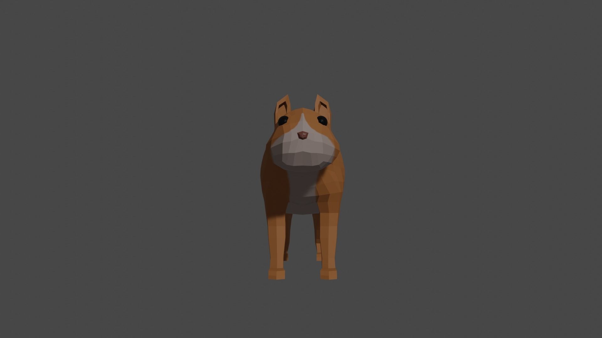 3D model LowPoly Squirrel VR / AR / low-poly | CGTrader
