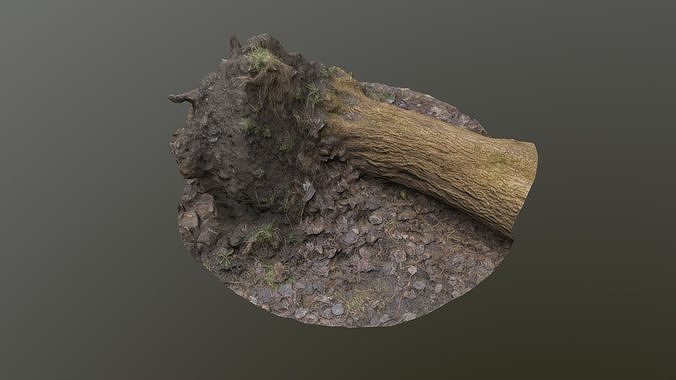 3D model Fallen Tree Trunk VR / AR / low-poly | CGTrader