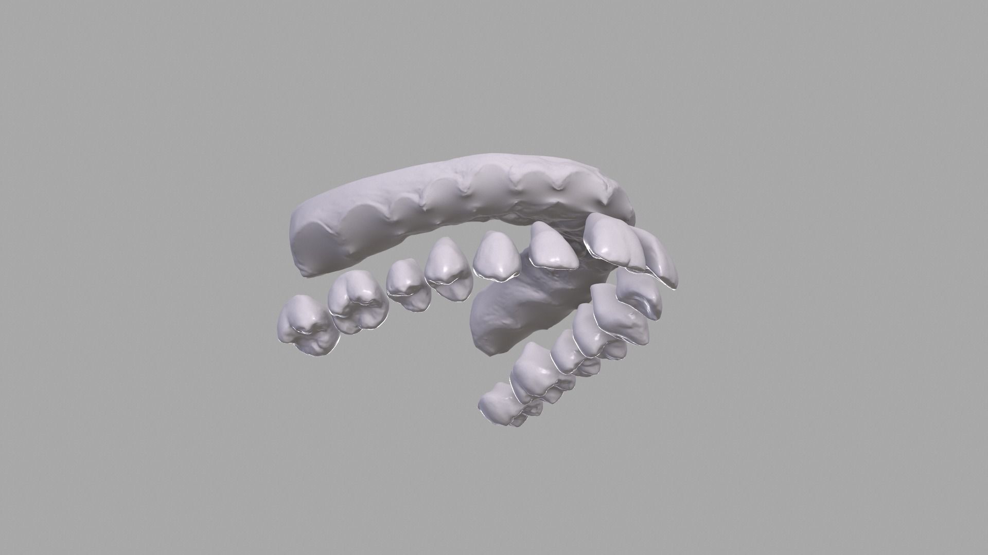 Dental upper jaw 3D scanned mouth with separated teeth 3D model 3D ...